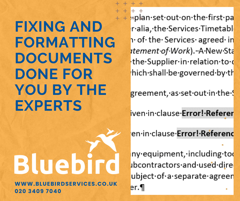 Document Fix & Format - Bluebird Support Services