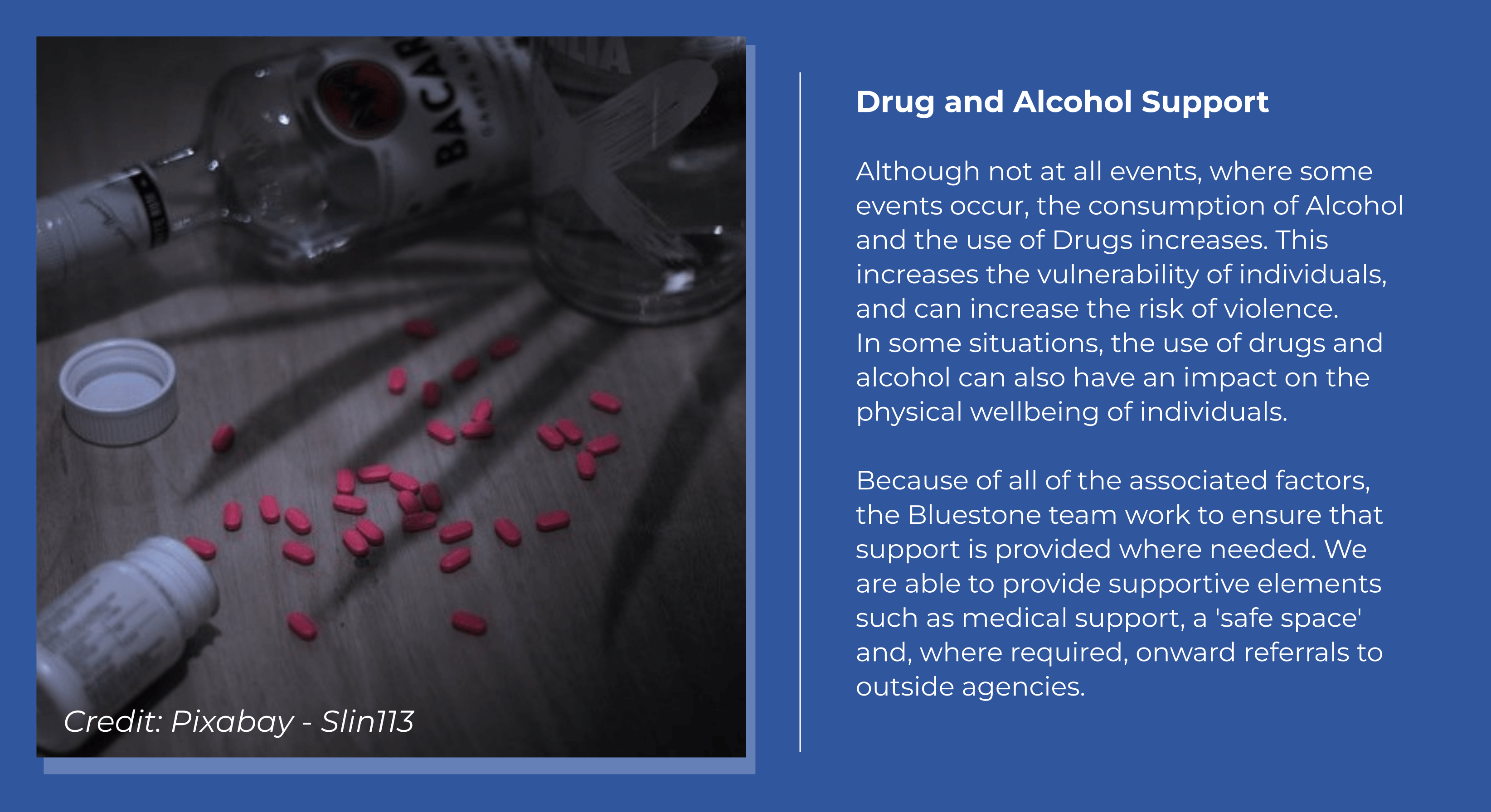 Event Welfare - Bluestone Medical