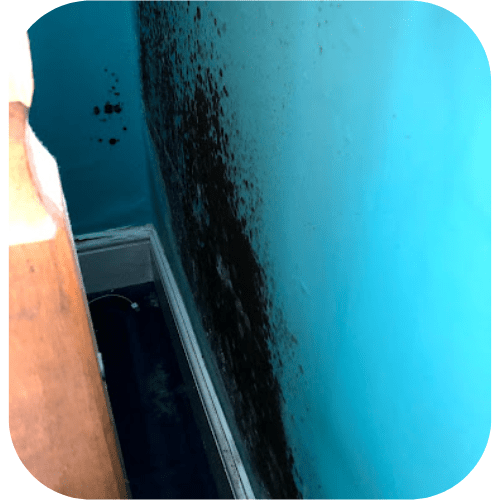 Damp: Identifying & Preventing Damp in your Property