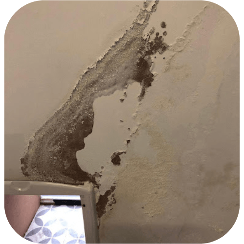 Damp: Identifying & Preventing Damp in your Property
