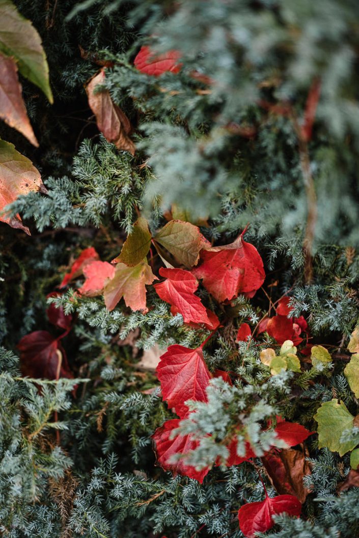 13 km de surprises à Gesves - Boussole Magique