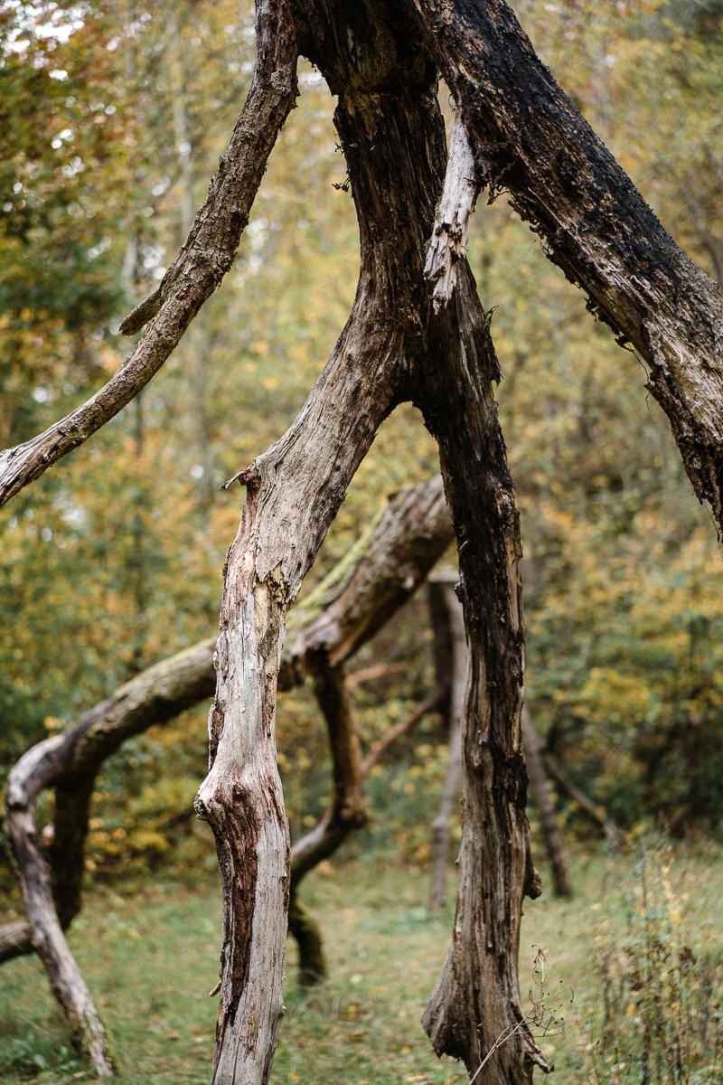 13 km de surprises à Gesves - Boussole Magique