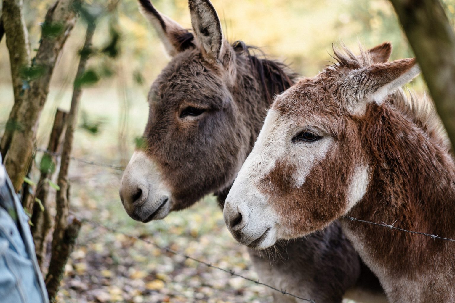 13 km de surprises à Gesves - Boussole Magique