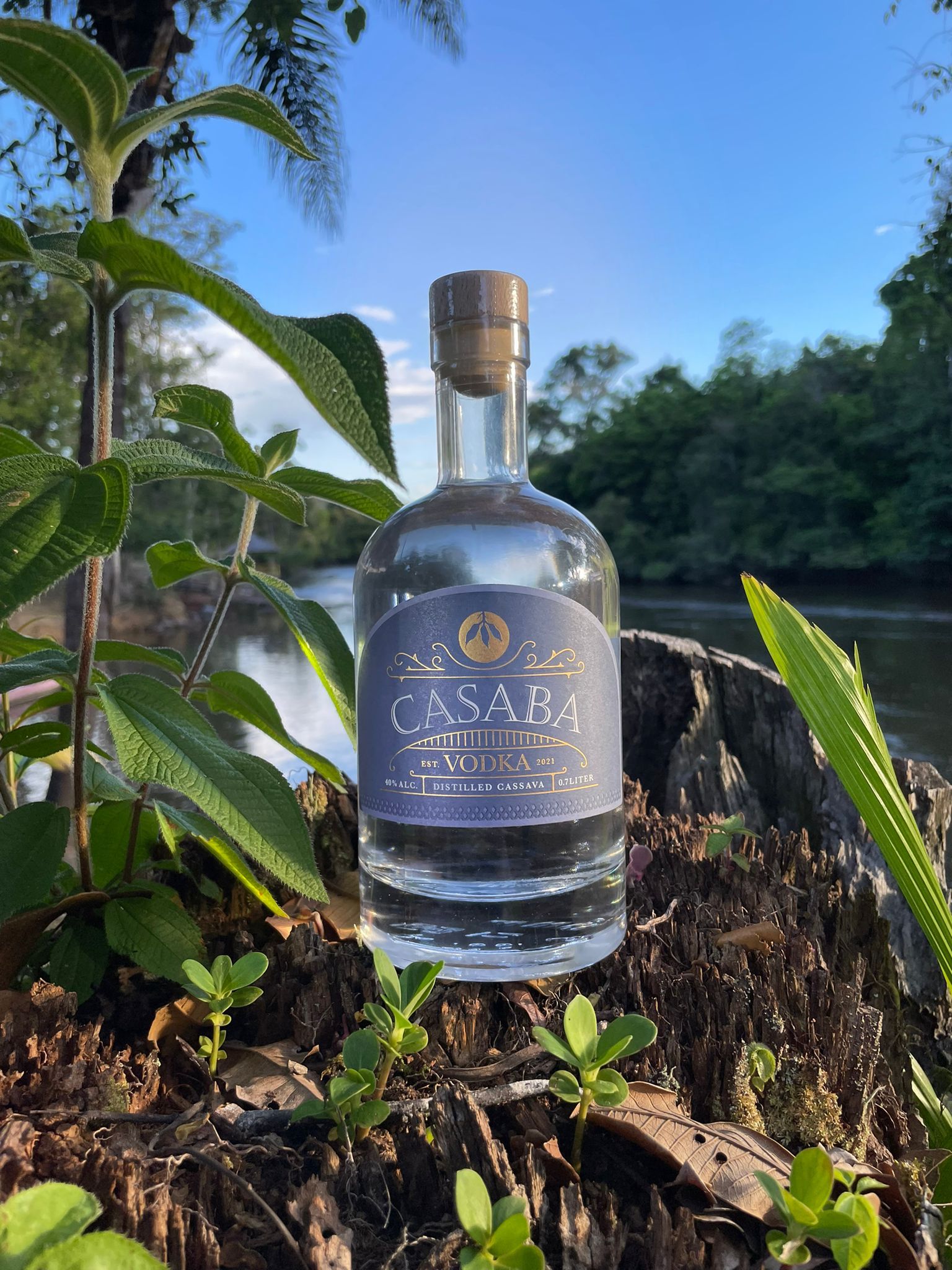 Gallery - Casaba Vodka