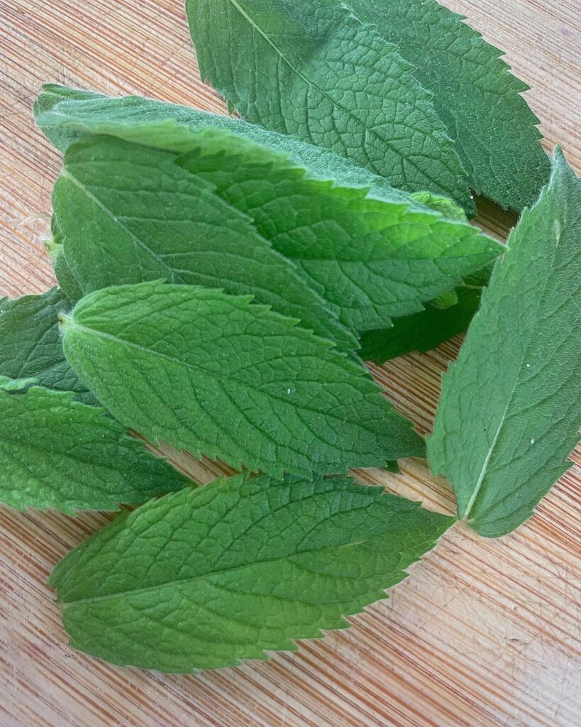 Reading Tea Leaves – The Writing of Catherine D'Angelo Meade