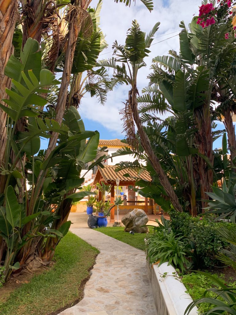 About – Cheveyo Training Camp