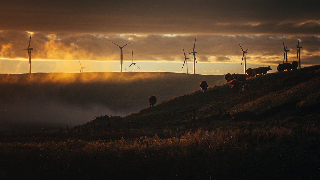 Our History - Clarus Networks