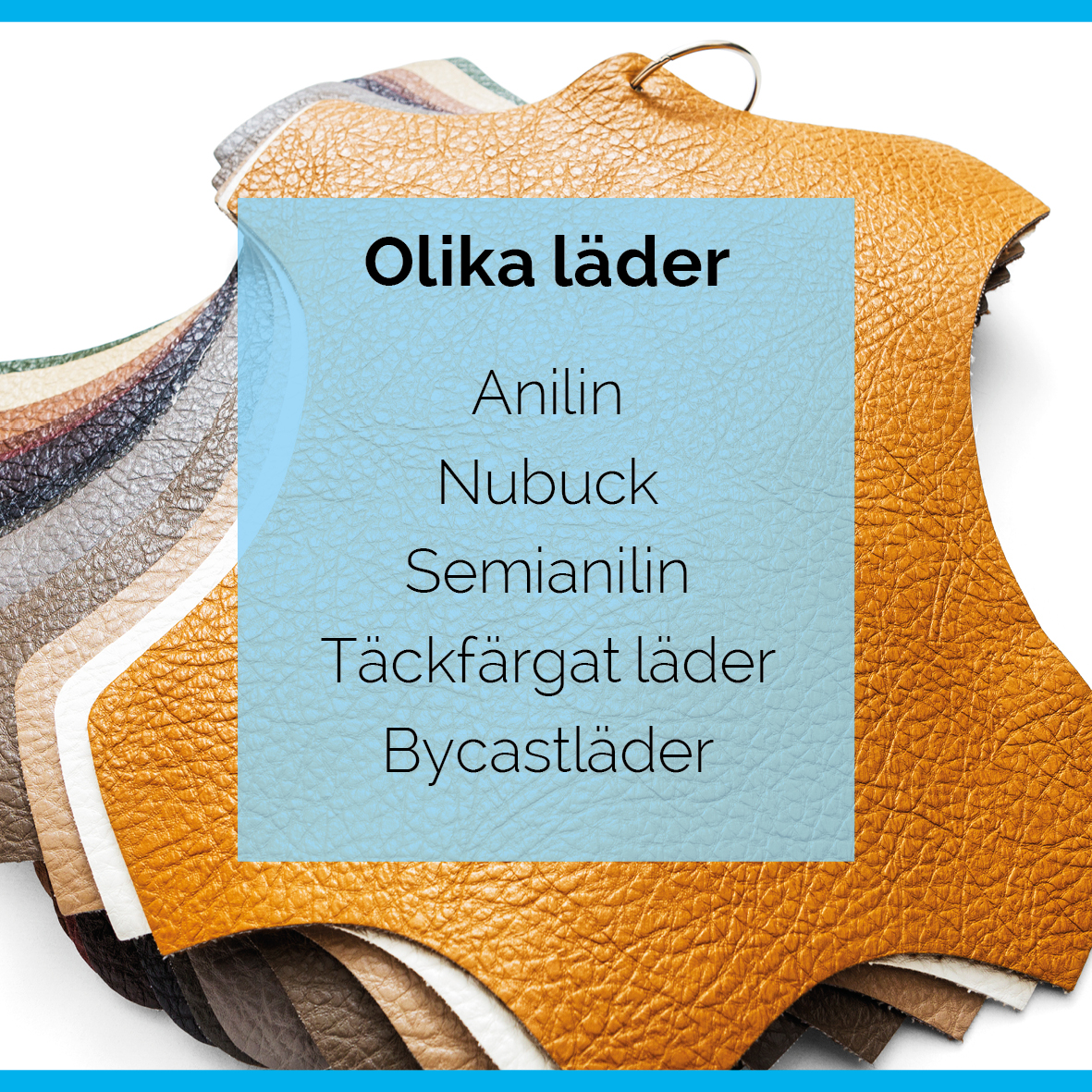 Läder - vad du behöver veta och lite till - Colorglo