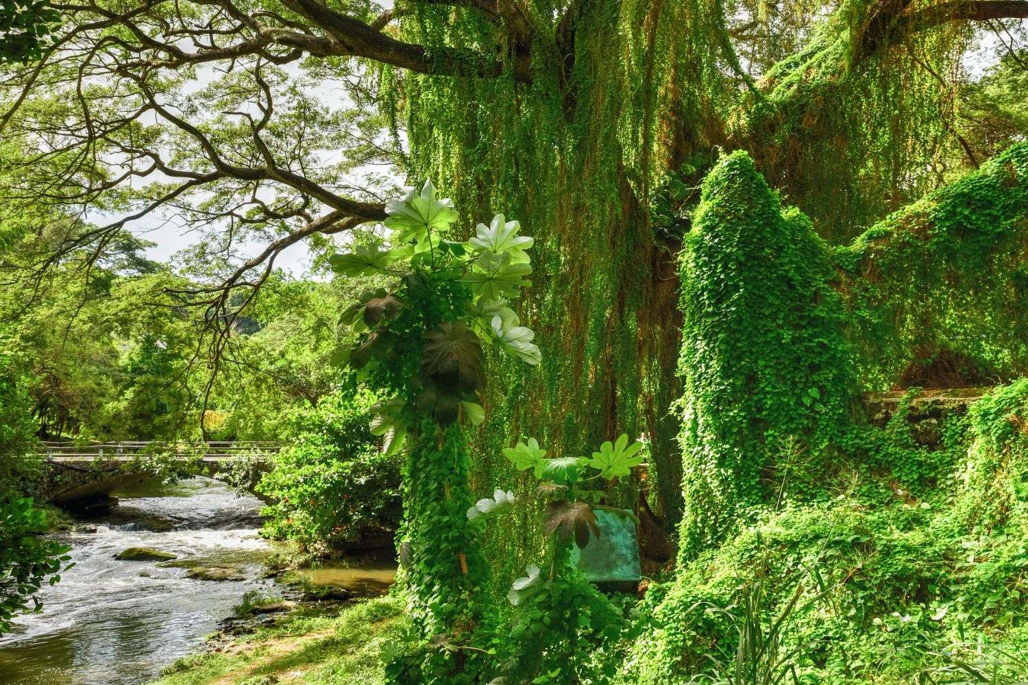 Parques Naturales en Cuba – Conoce Cuba