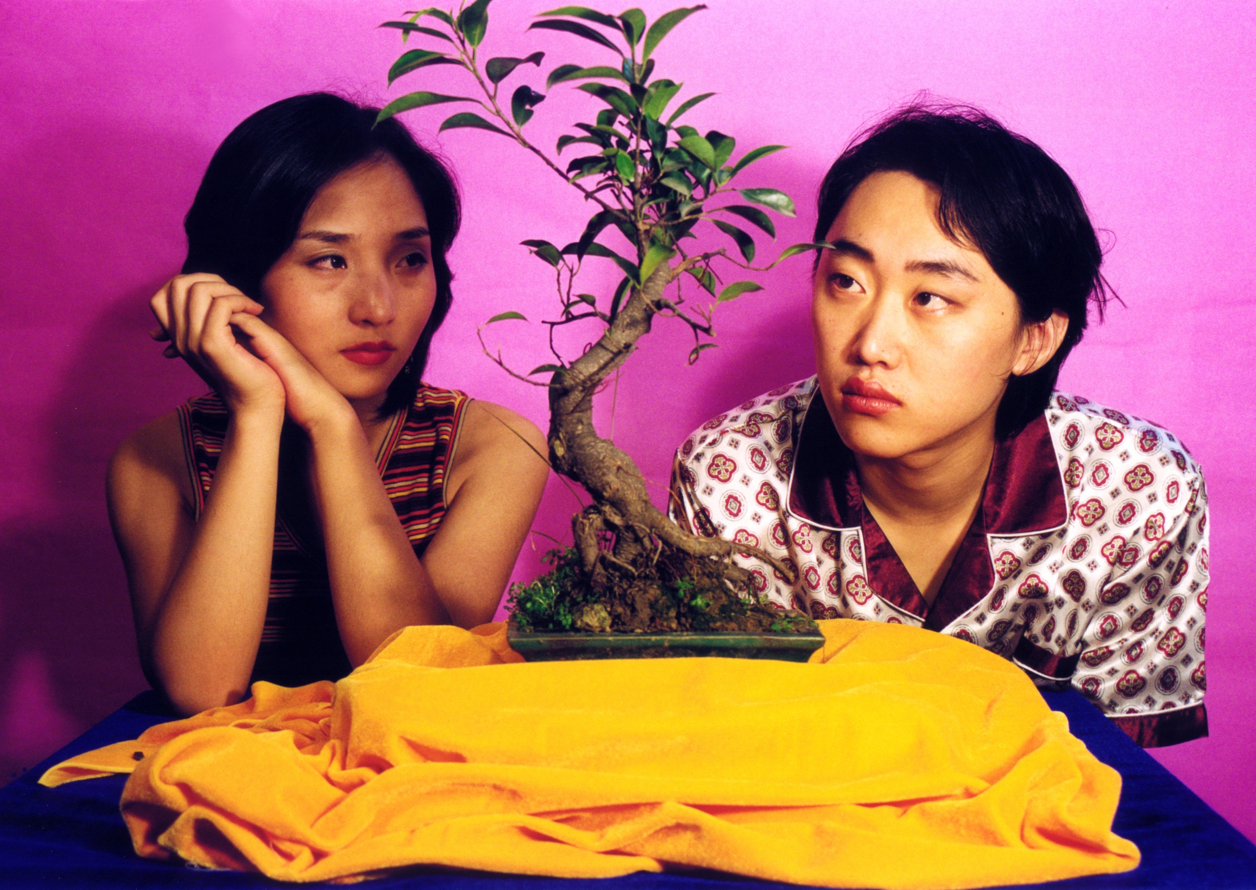 ccp–collection — Yang Fudong