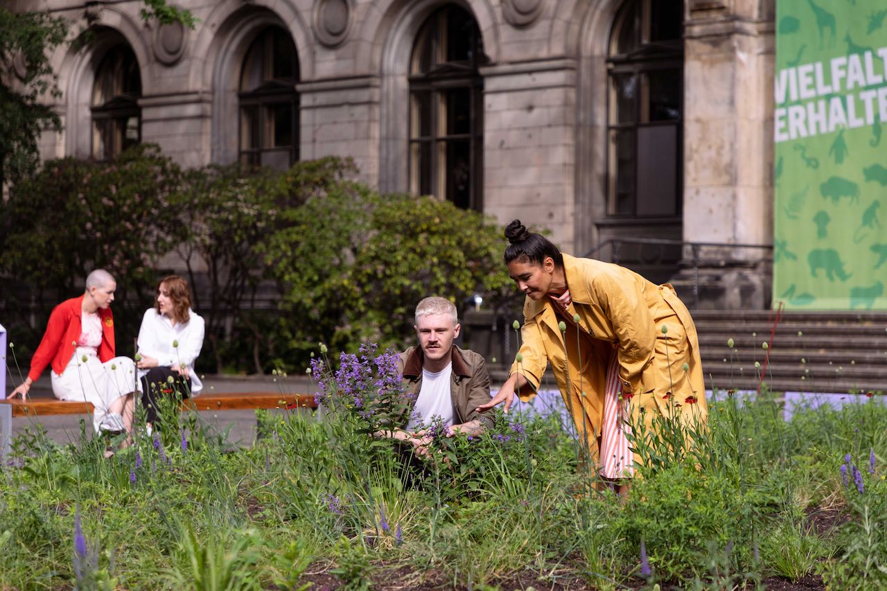Corinna Wolfien — LAS Daisy Ginsberg: Pollinator Pathmaker