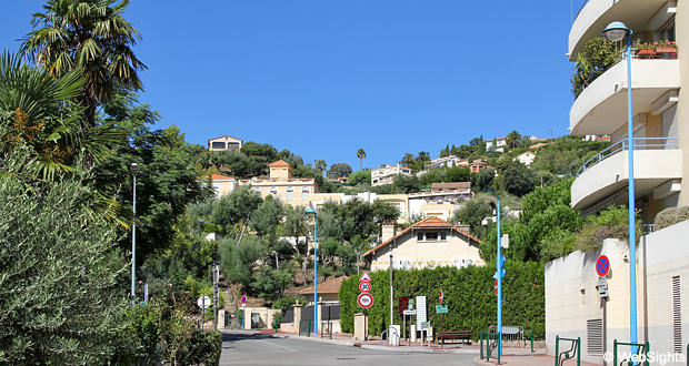 Mandelieu-La Napoule - mimosernes hovedstad | Cote d'Azur guide
