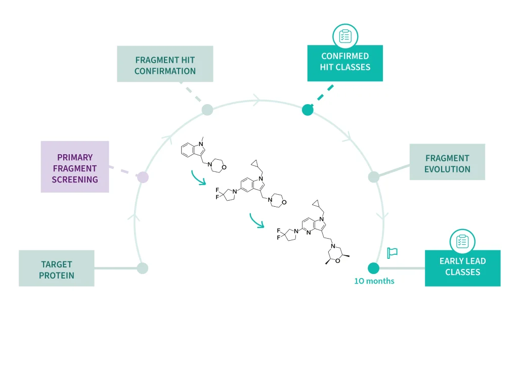 Advancing Fragment-Based Lead Generation Through Integrated Expertise ...