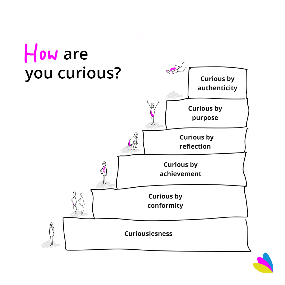 HOW are you curious? | Curious Creator