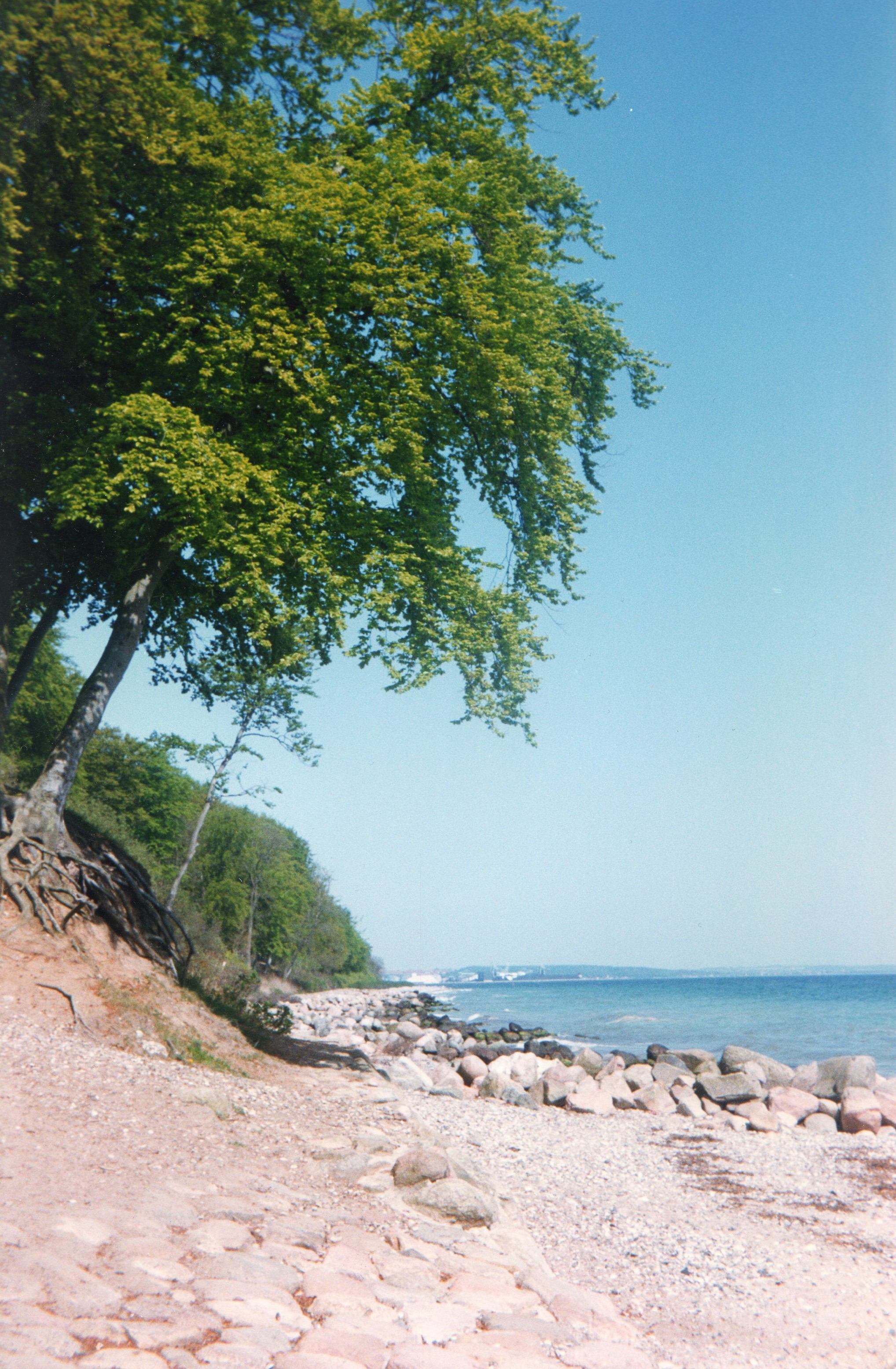 Kunsten at se – tegninger og fotos fra skov og strand syd for Aarhus