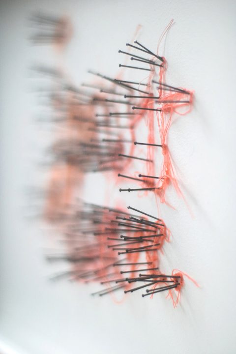 Gallery | Debbie Smyth