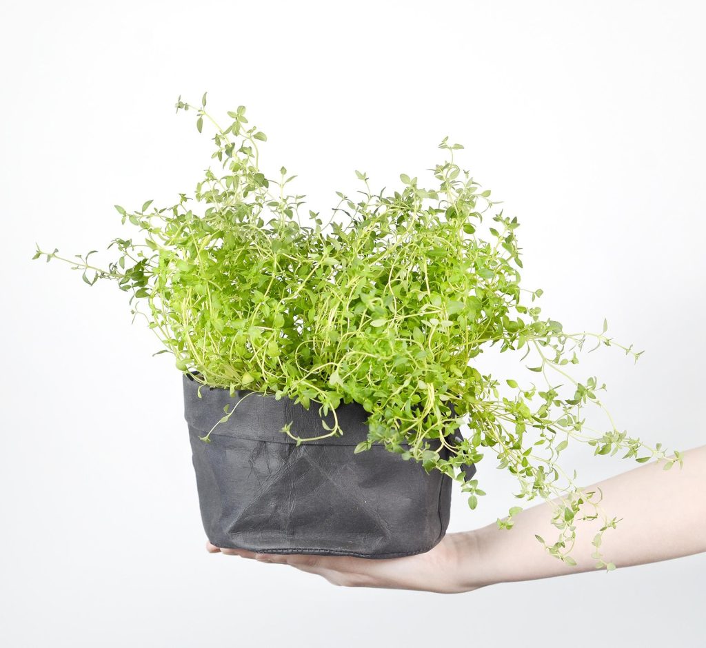 Framsida - deliverde.se