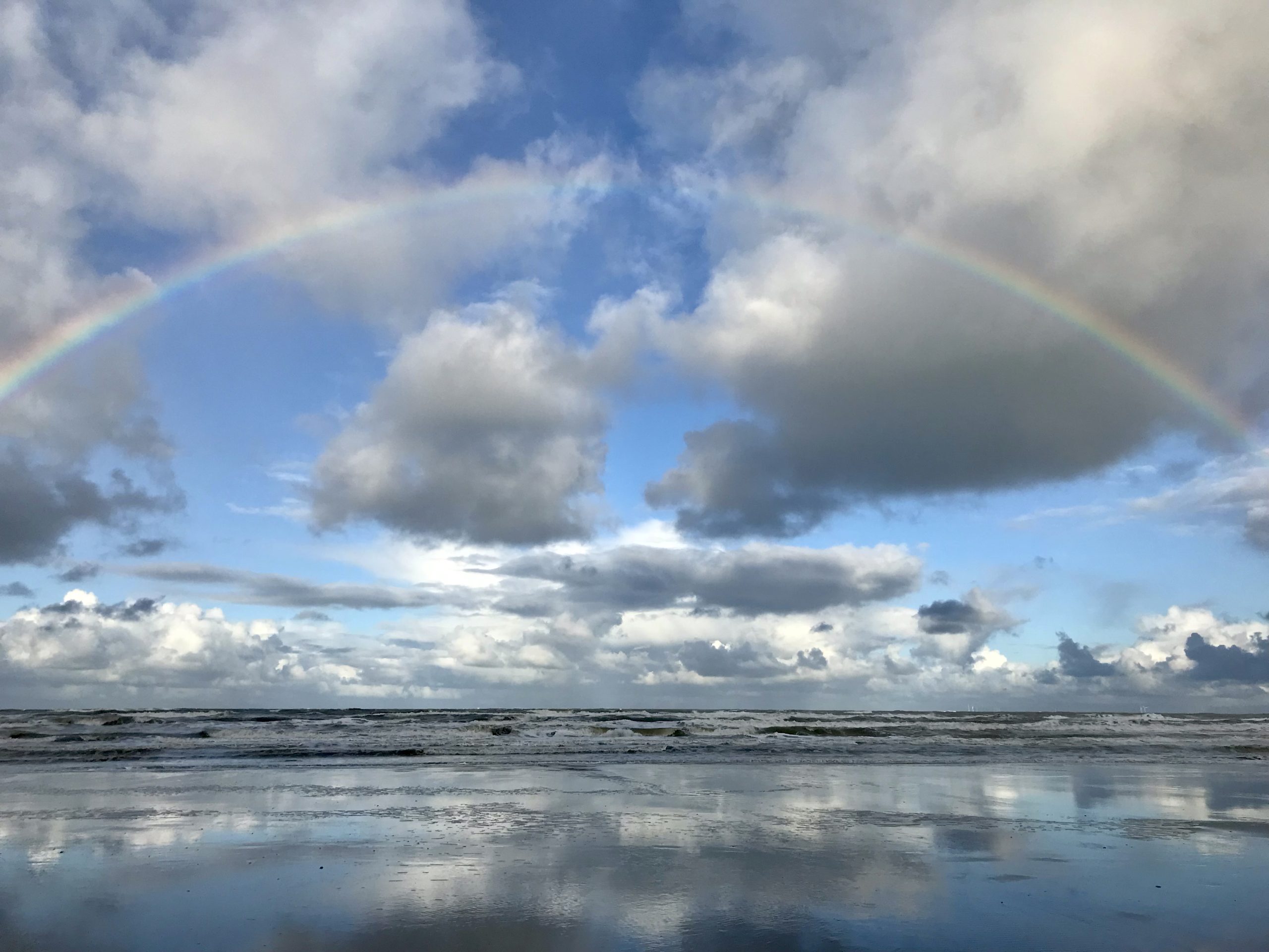 Freika – Eine Reise zu den Hühnern