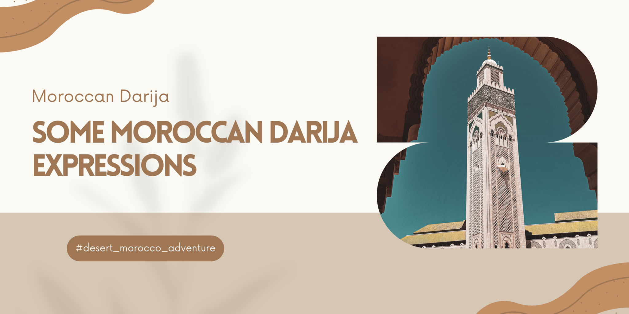Moroccan Darija - Moroccan Language