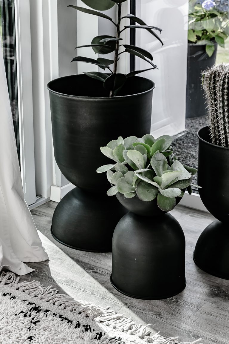 Plant Styling at Home - DESIGNSETTER - Design Lifestyle and Interior ...