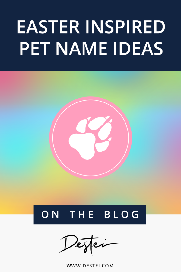 Easter Inspired Pet Name Ideas – Destei Design Studio