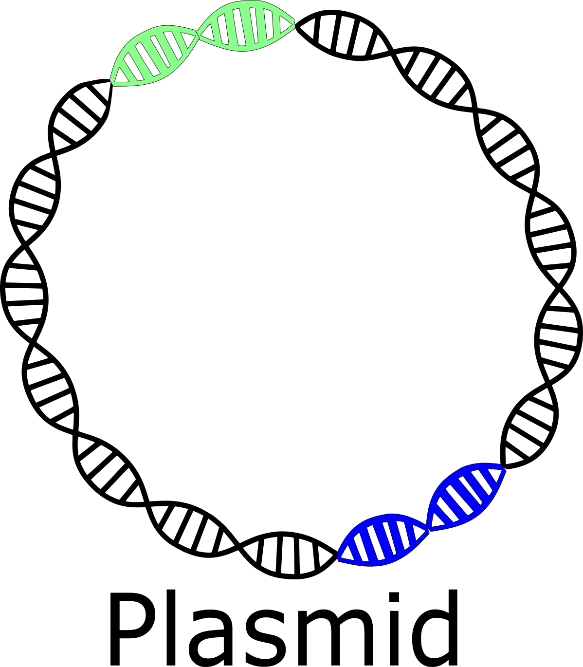 Celler - Det er godt at vide