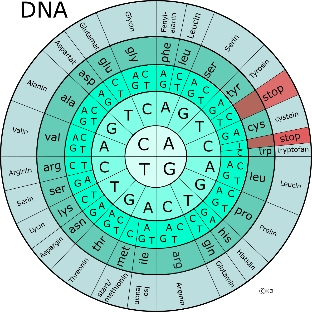 Mutationer og genetisk variation - Det er godt at vide