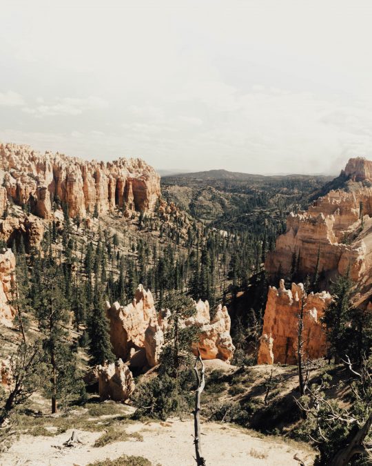 Wat moet je zeker doen in Bryce National Park? - De Voyageurs