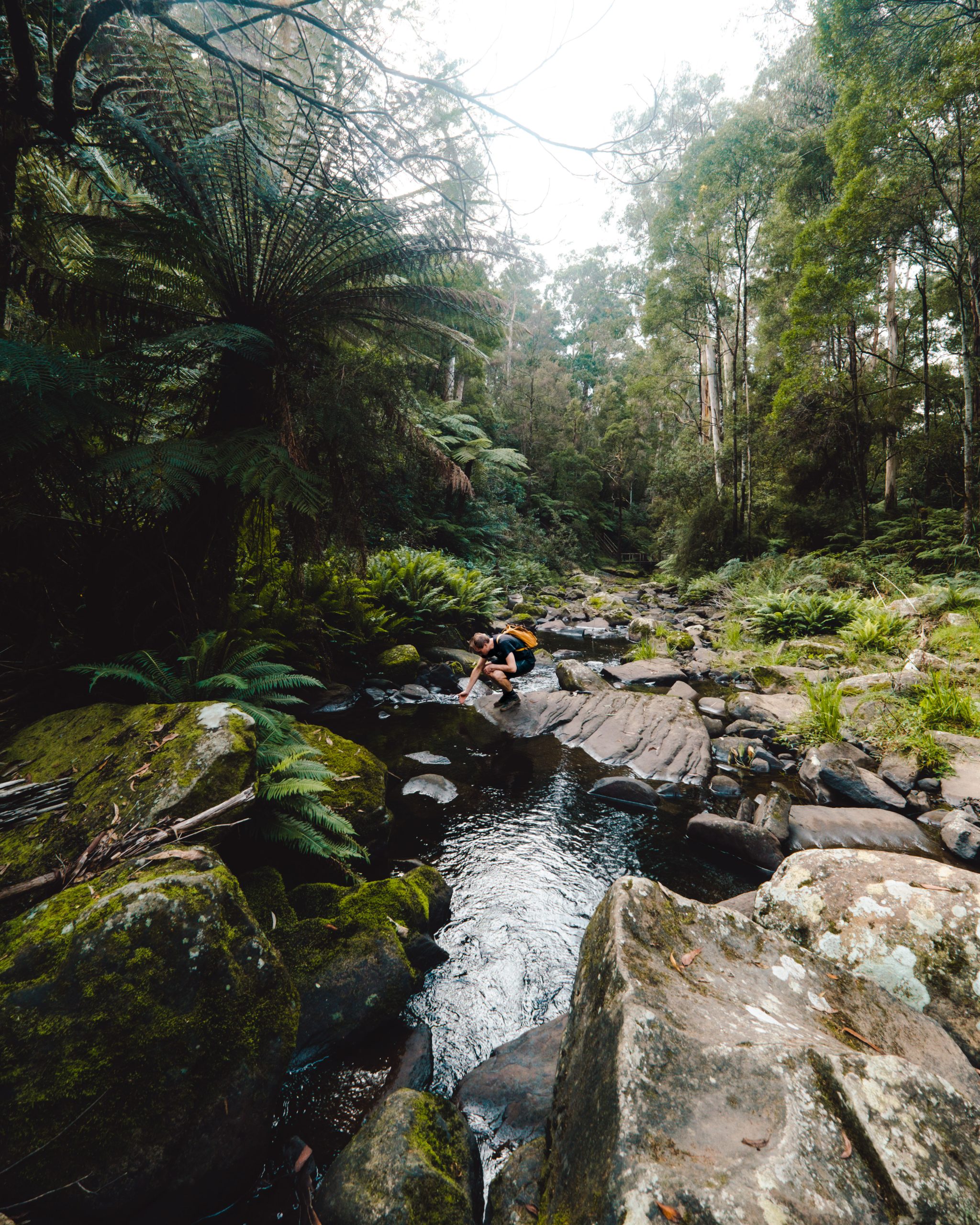 Wat moet je zeker zien in Great Otway National Park? - De Voyageurs