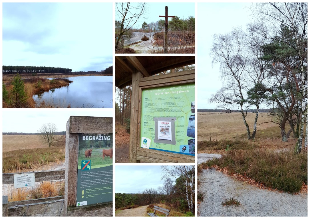Wandeltip: Teut & Ten Haagdoorn - Zonhoven 10K - DeWereldvanKaat