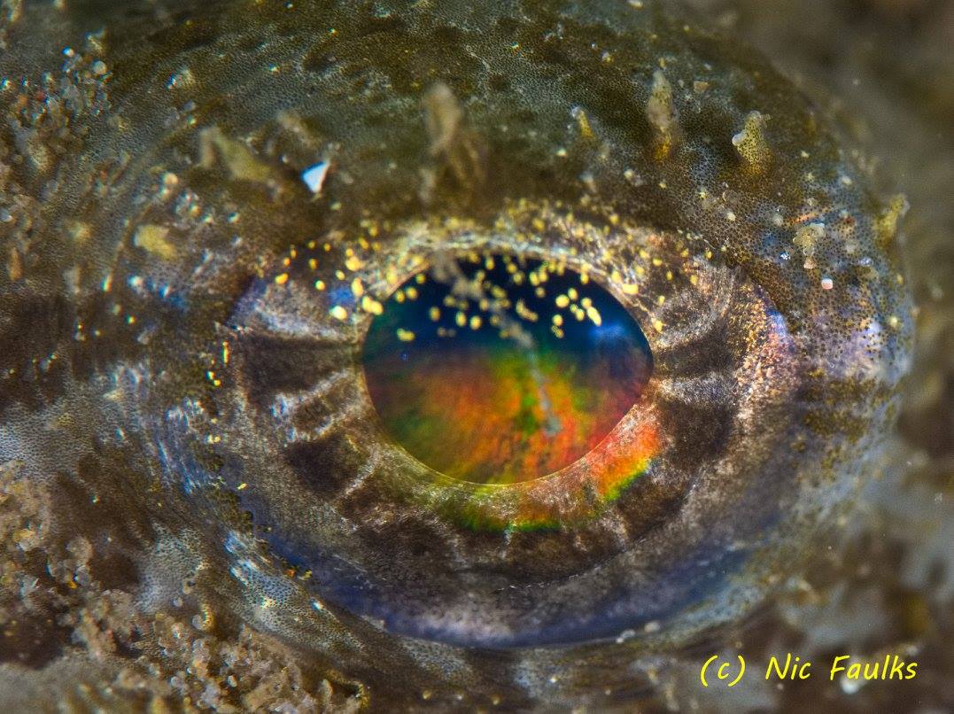 Contact - divespellbinder.com