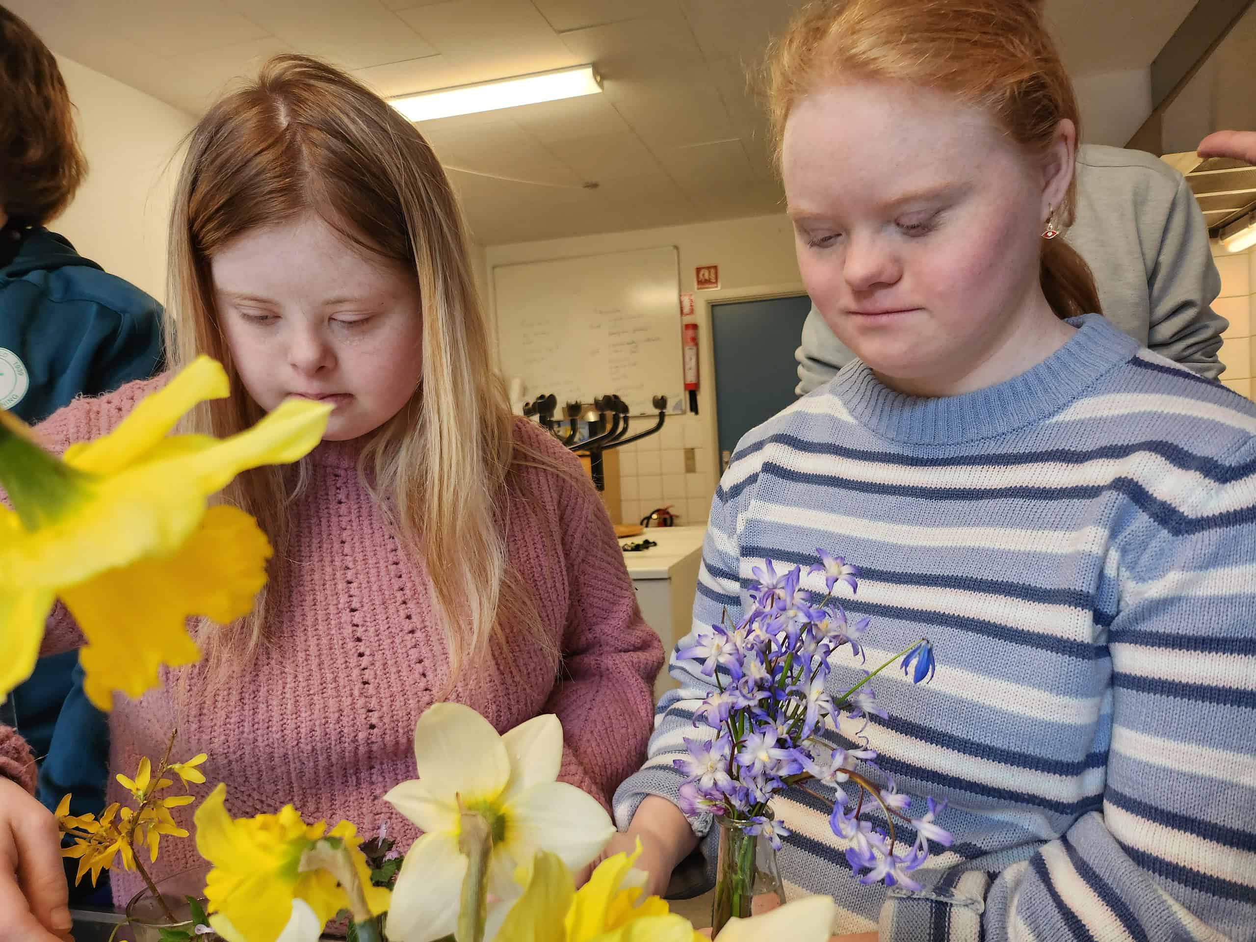 Skoleåret - August 2026 - Juni 2027 - Djurslands Folkehøjskole