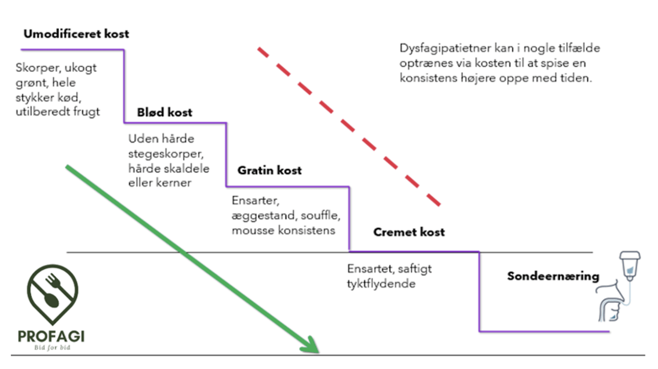 Dysfagi - Domestic Science
