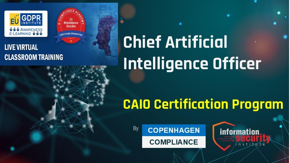 The Chief Artificial Intelligence Officer’s Role and Responsibilities ...