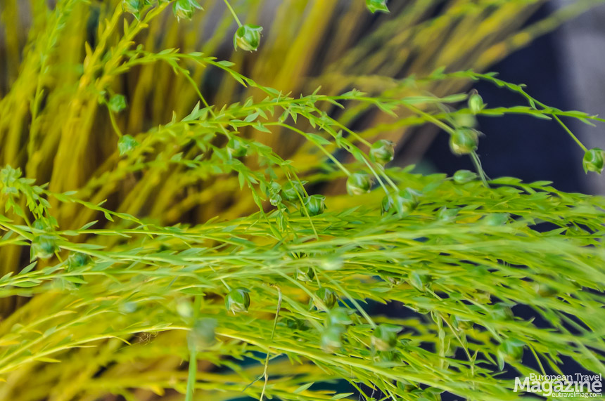 The Last Potter of Pinela | European Travel Magazine