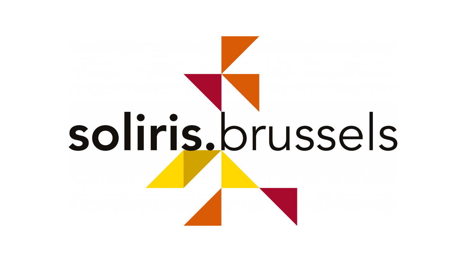Soliris.brussels - Echos Communication