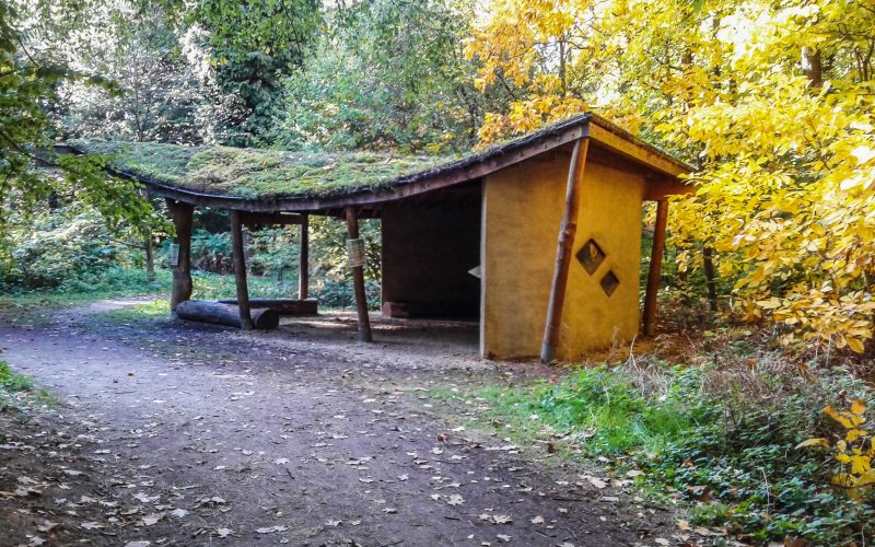 Wandeling Doorheen Heverleebos 6 Km Effen Weg Vzw