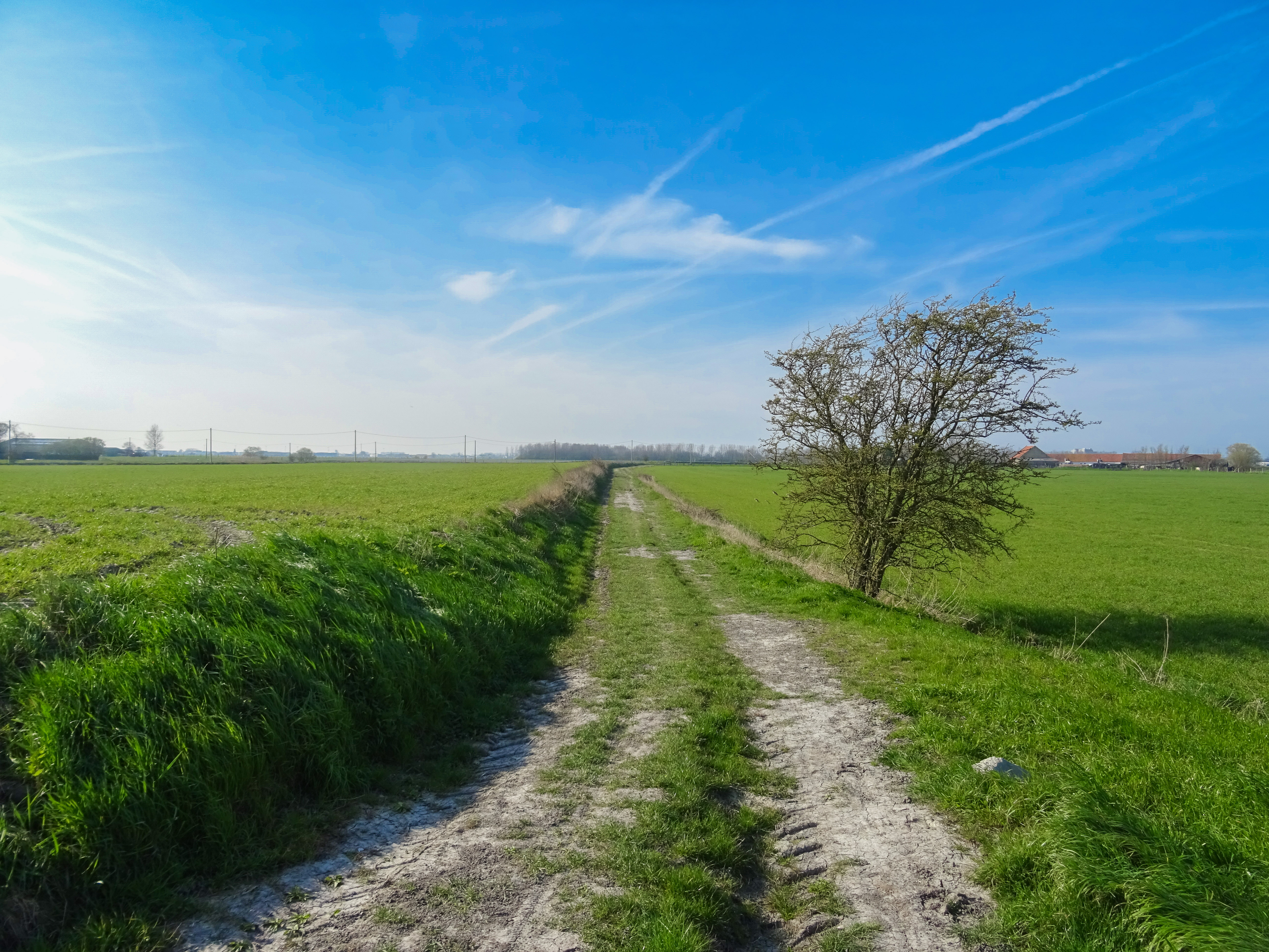 Wandeling in Stene-dorp, Oostende (5 km) - Effen Weg vzw