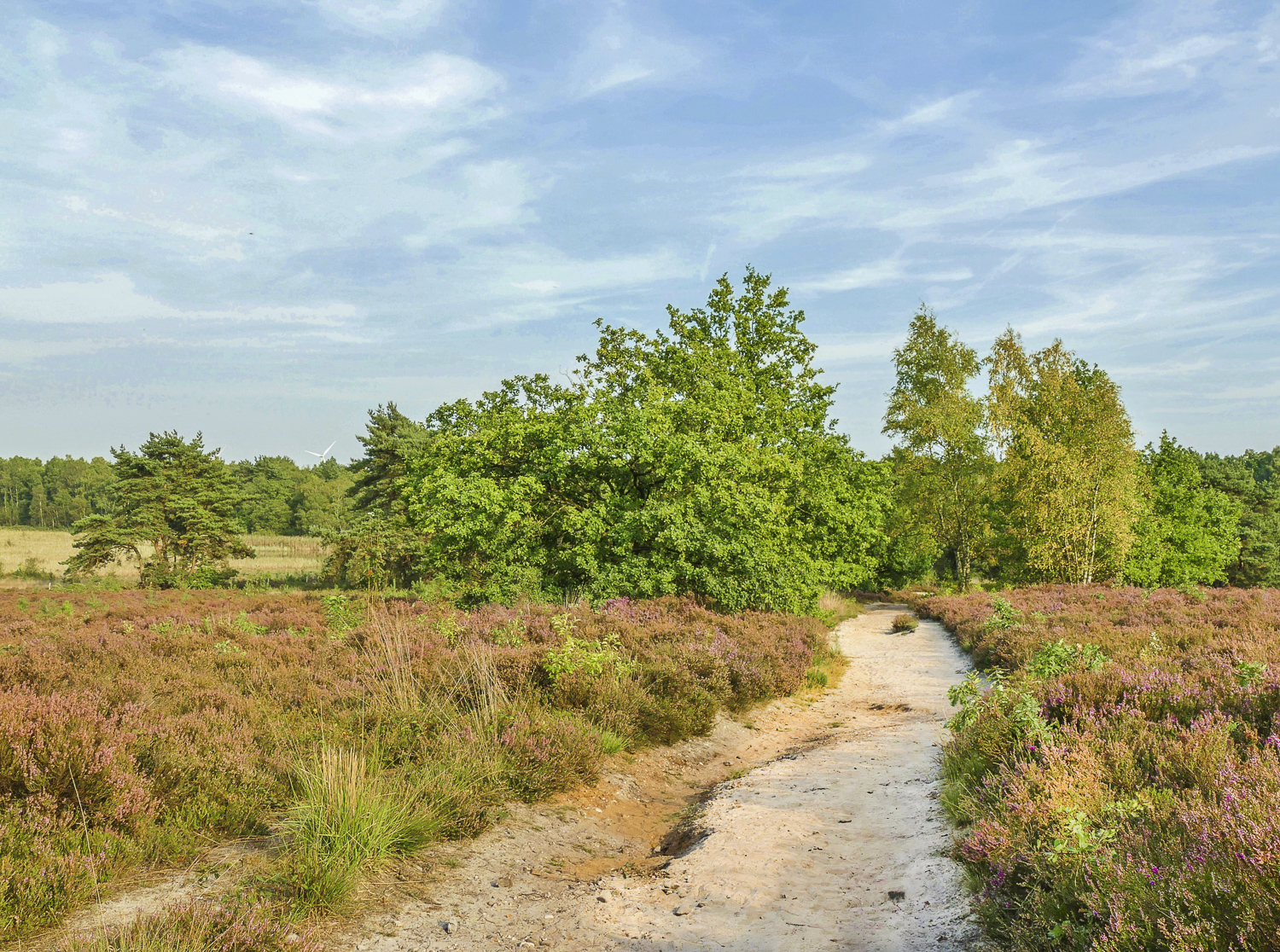 VOLZET - Avondwandeling doorheen De Teut (7 km) - Effen Weg vzw