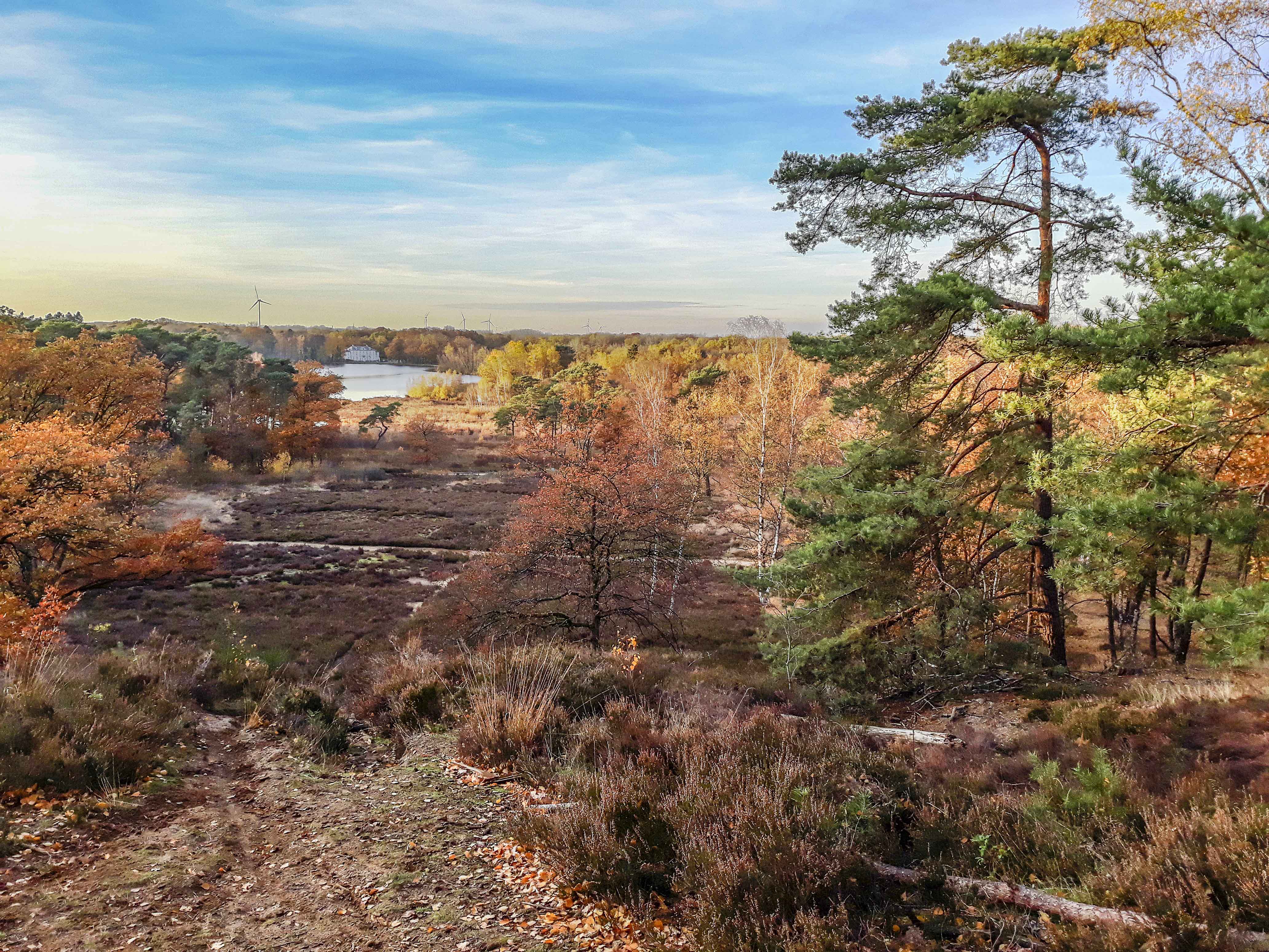 Wandeling op en over de Bolderberg (5 km) - Effen Weg vzw