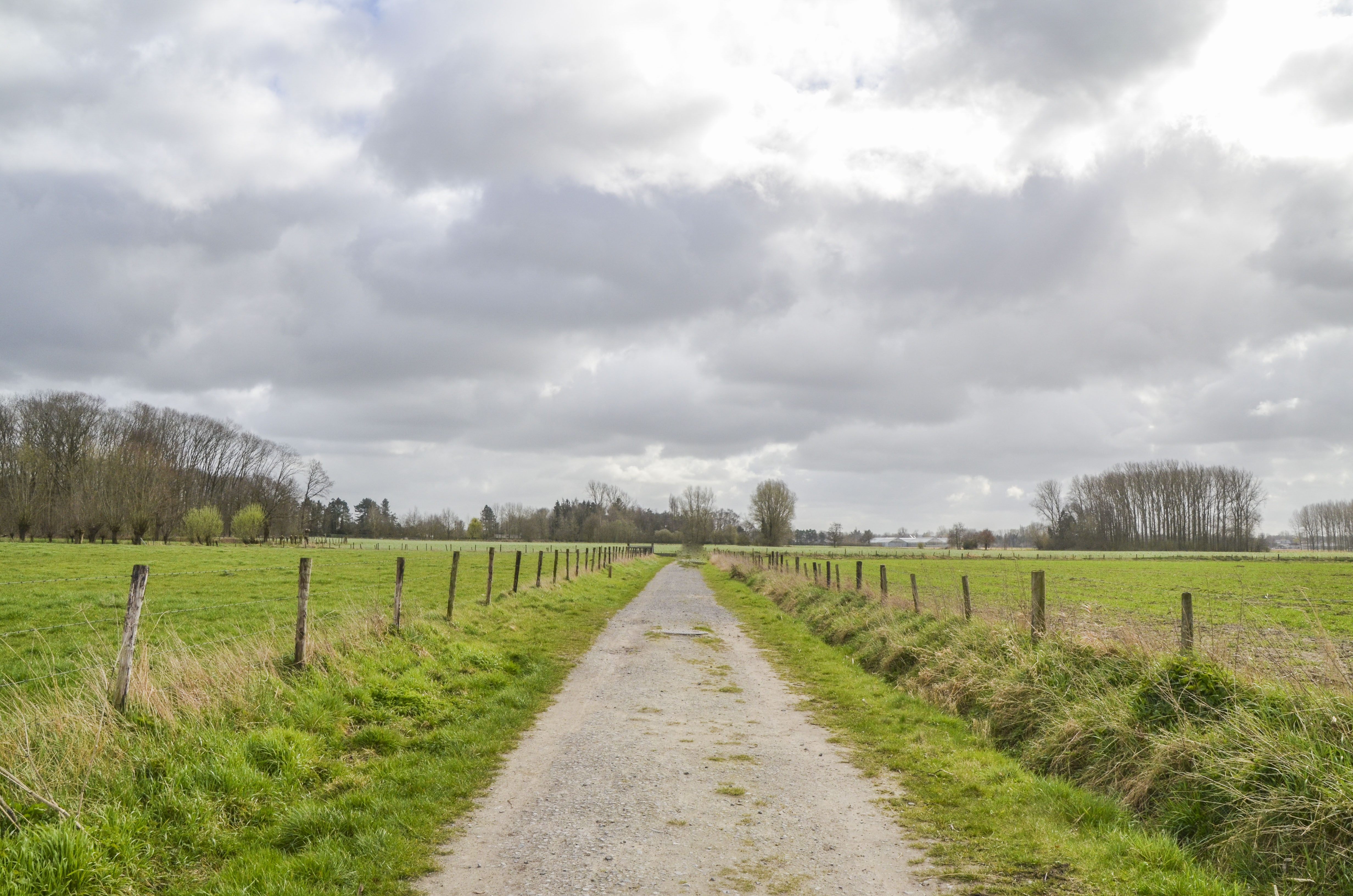 Wandelen In Laarne Kasteel Bos En Trage Wegen 6 5 Of 8 Km Effen wandelen-in-laarne-kasteel-bos-en-trage-wegen-6-5-of-8-km-effen
