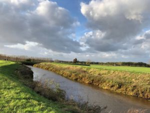 Wandeling vanuit Gestel langs de Grote Nete en langs Kruiskensberg ...