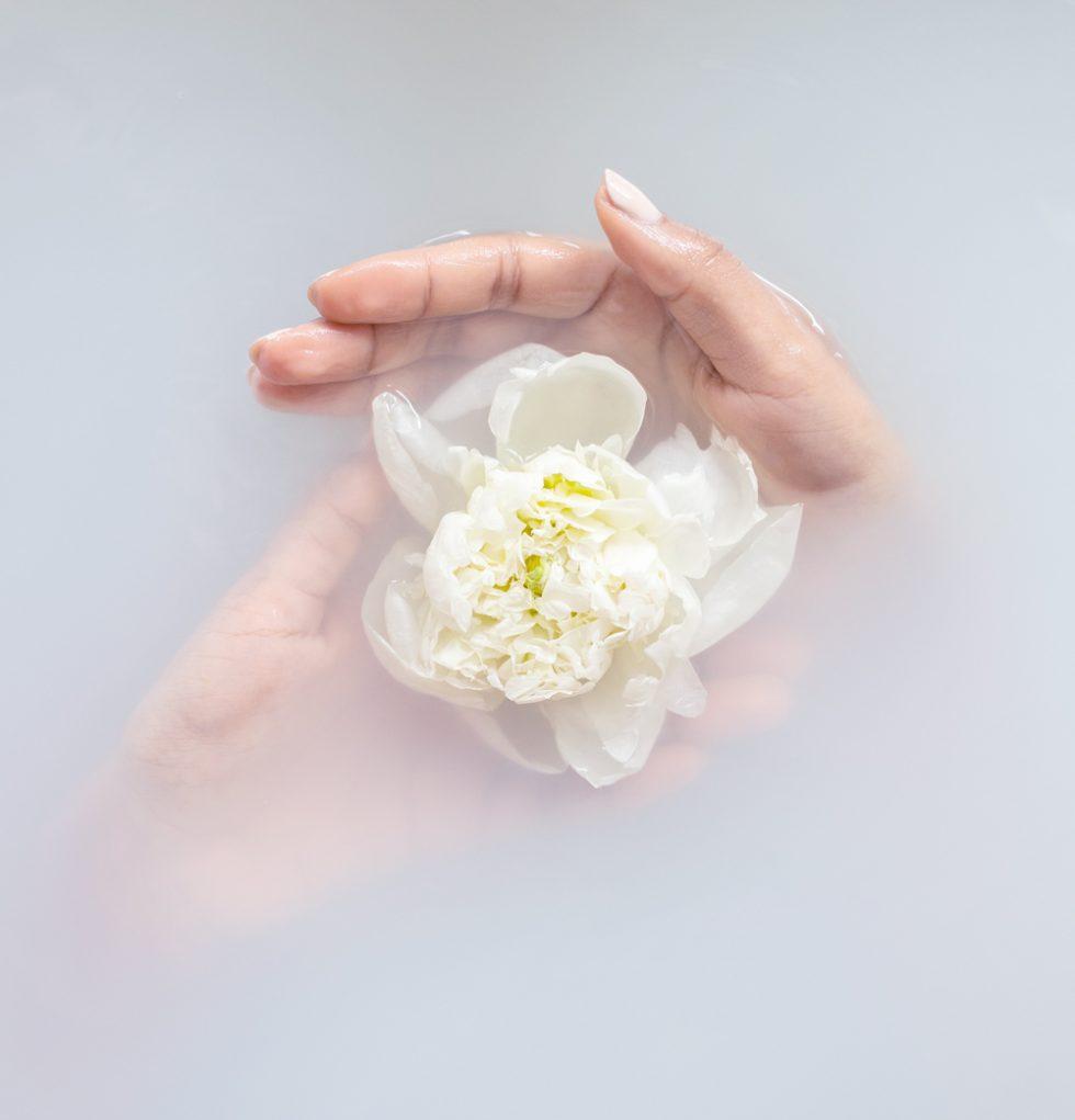 Receiving Capacity - Elaira Flow