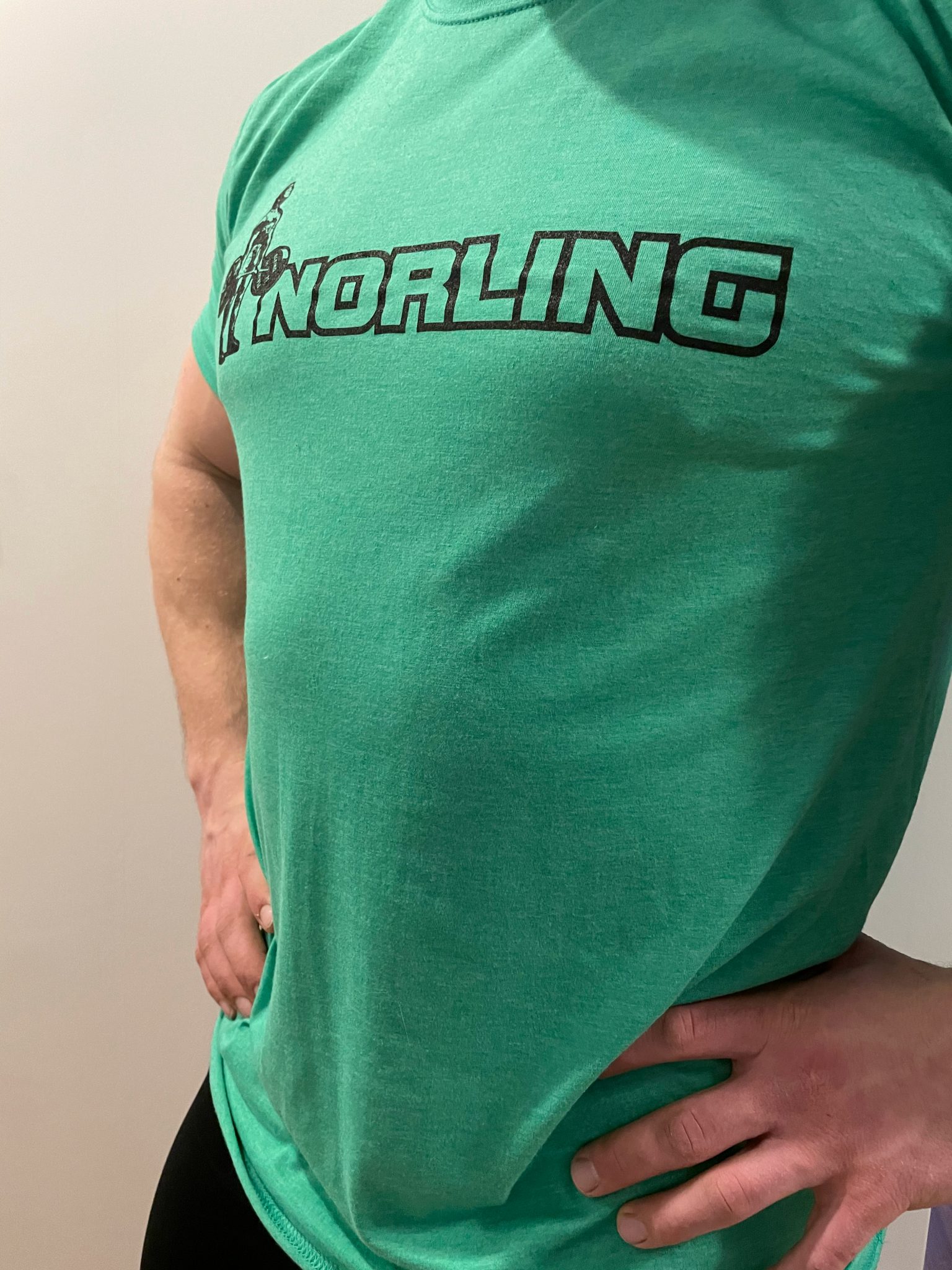 Supportertröja Herr Grön – Emil Norling