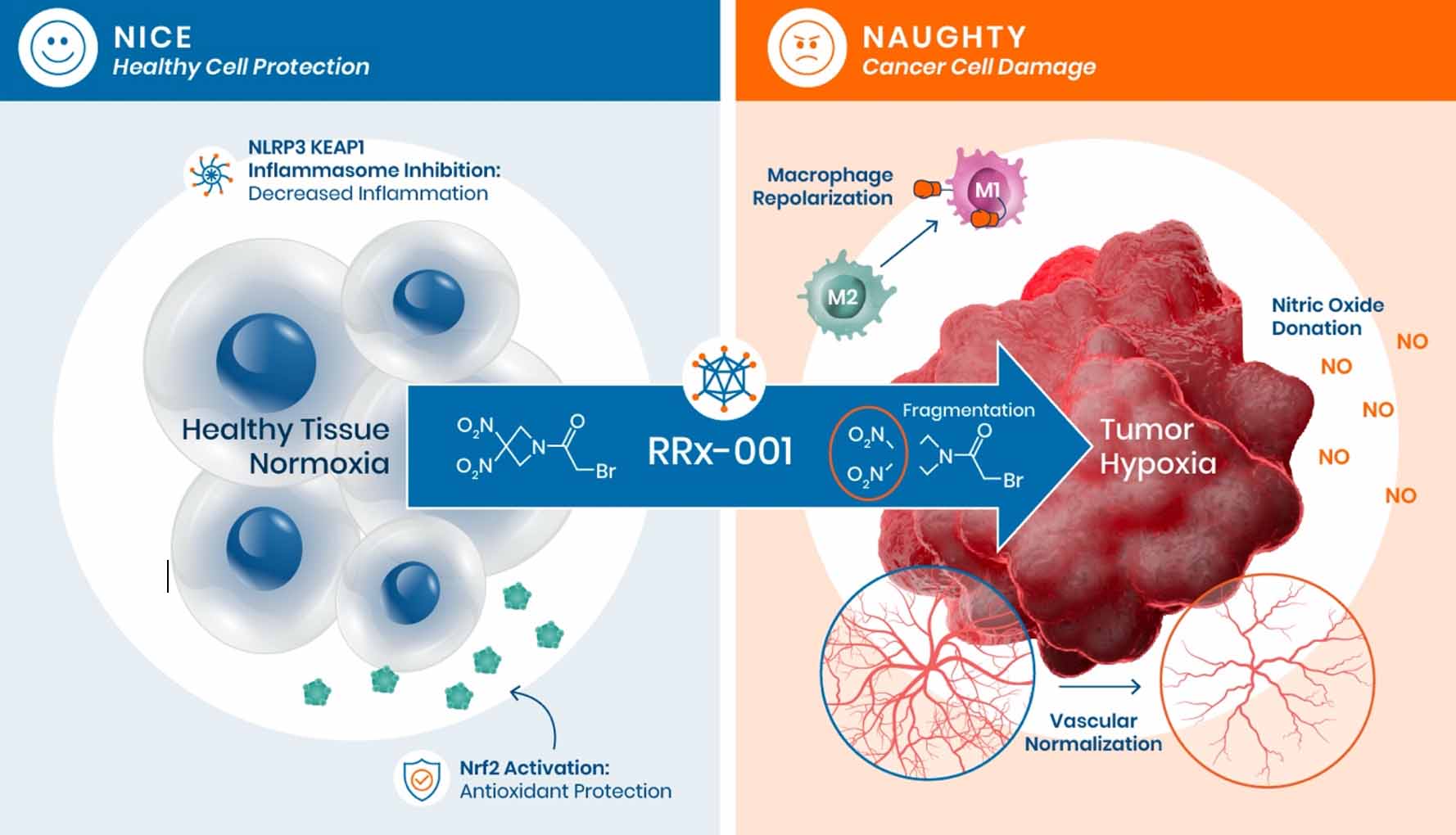 RRx-001 is naughty and nice—naughty to tumors, nice to normal tissues - EpicentRx
