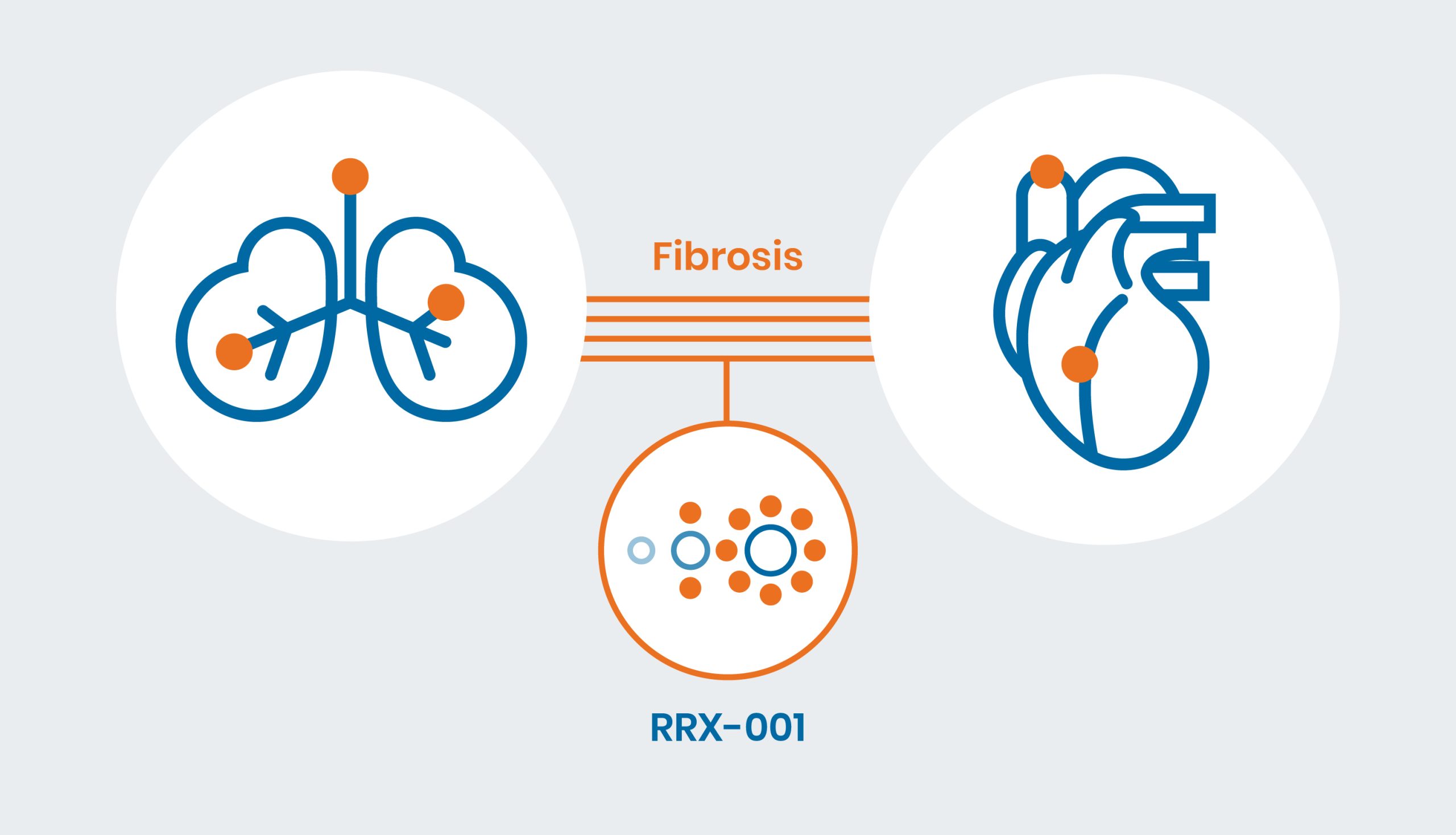 RRx-001 and Pathologic Remodeling: Dr. Pedro Cabrales Presents at the ...