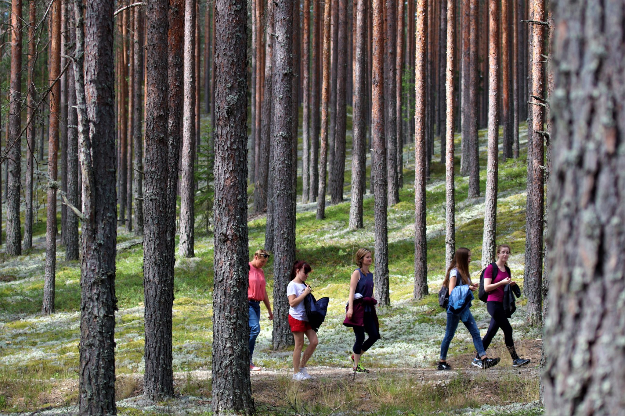 E11 in the Baltic states - European Ramblers Association