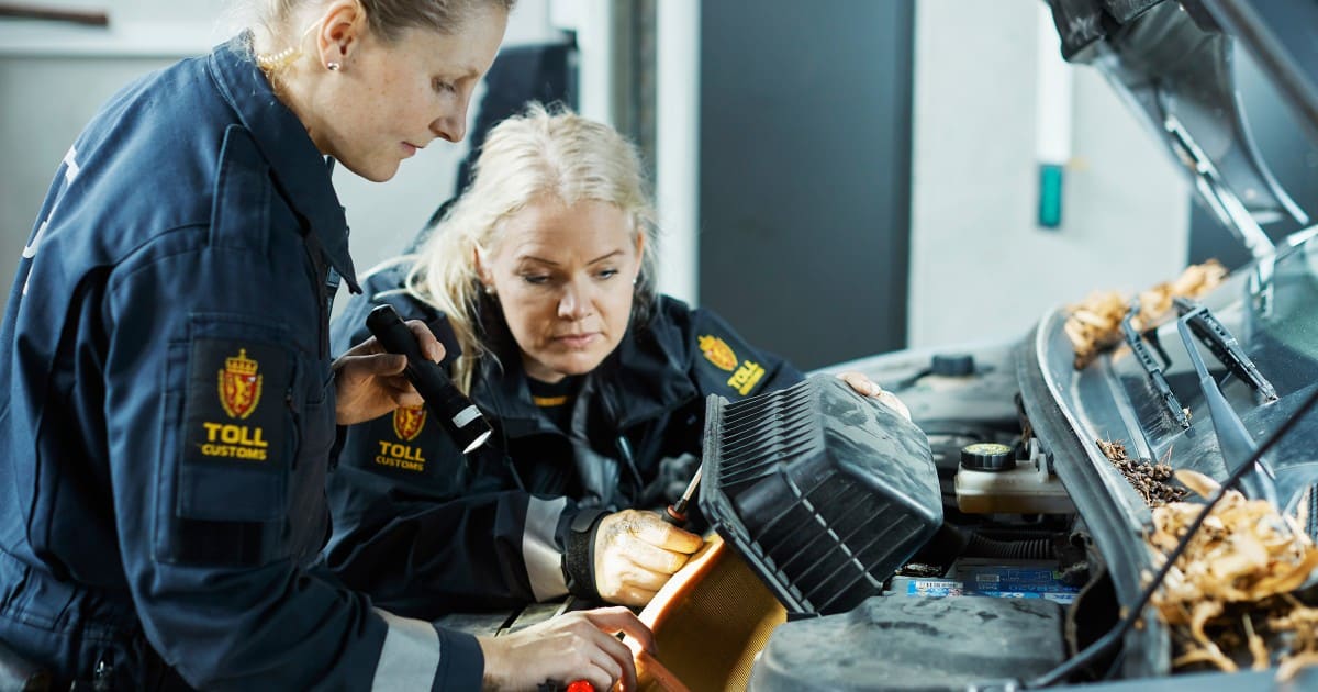 Toller lønn: Hva tjener tollere i Norge? (2025) - Finansekspert