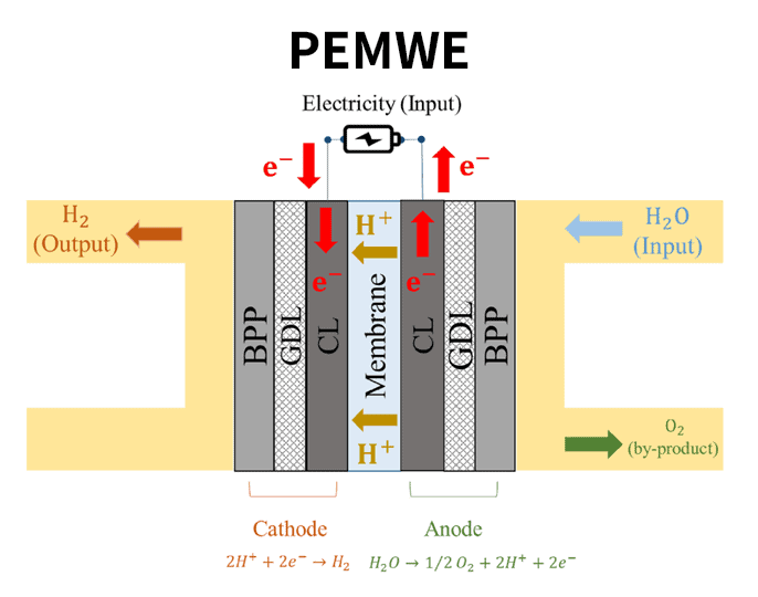 Proton Exchange Membranes | FOM Technologies