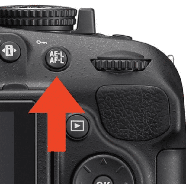 Wat is Back Button Focus bij een camera? - Fotografie Community
